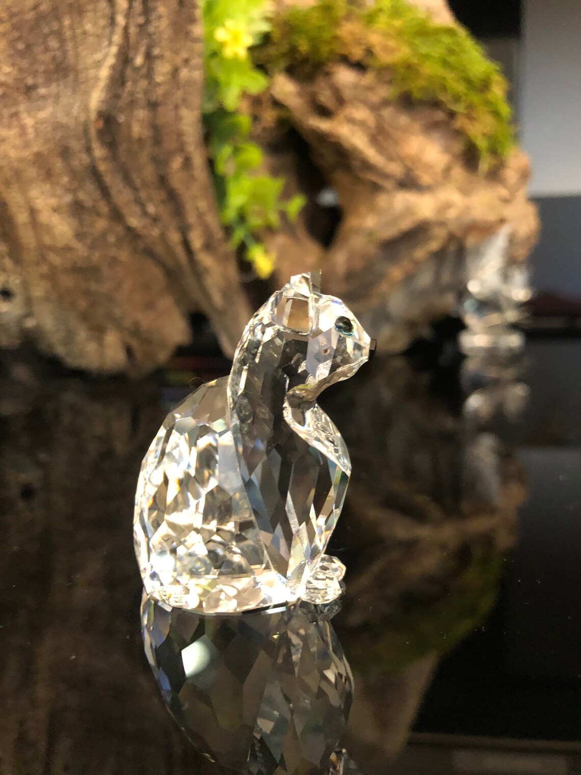 Swarovski Cat Figurine Crystal With Original Box and COA - Etsy
