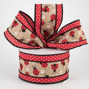 Wired Ribbon - 2.5" Mini Ladybugs With Swiss Dot - Ladybug Decor ...