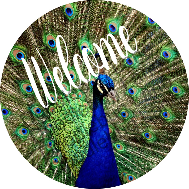 Peacock Welcome Sign - Etsy