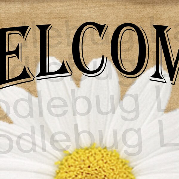 White Daisy Signs - Etsy