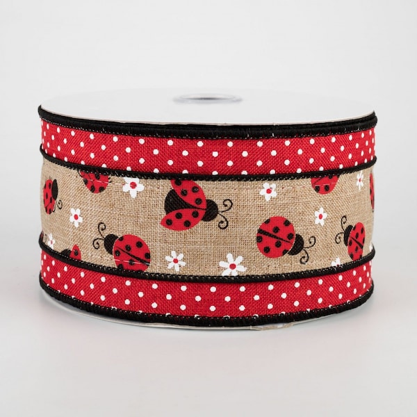 Ladybug Decor - Etsy