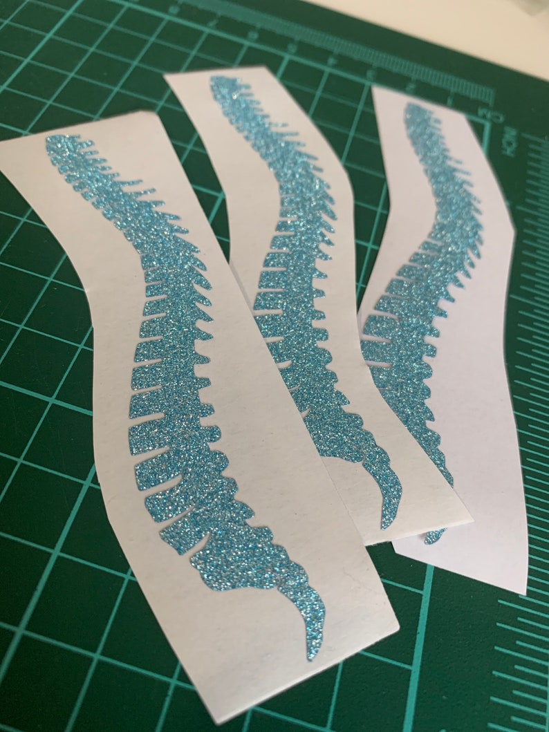 Spine Sticker Chiropractic Art Anatomy Art Medical - Etsy