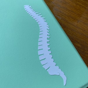 Spine Sticker Chiropractic Art Anatomy Art Medical Illustration ...
