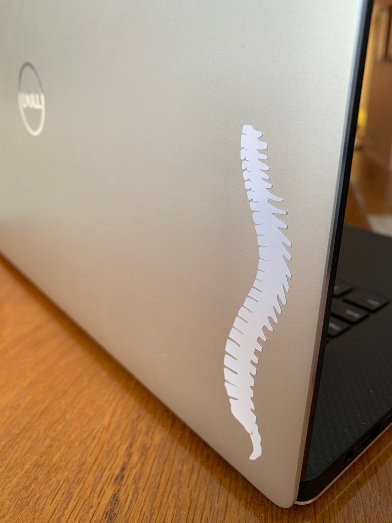 Spine Sticker Chiropractic Art Anatomy Art Medical - Etsy