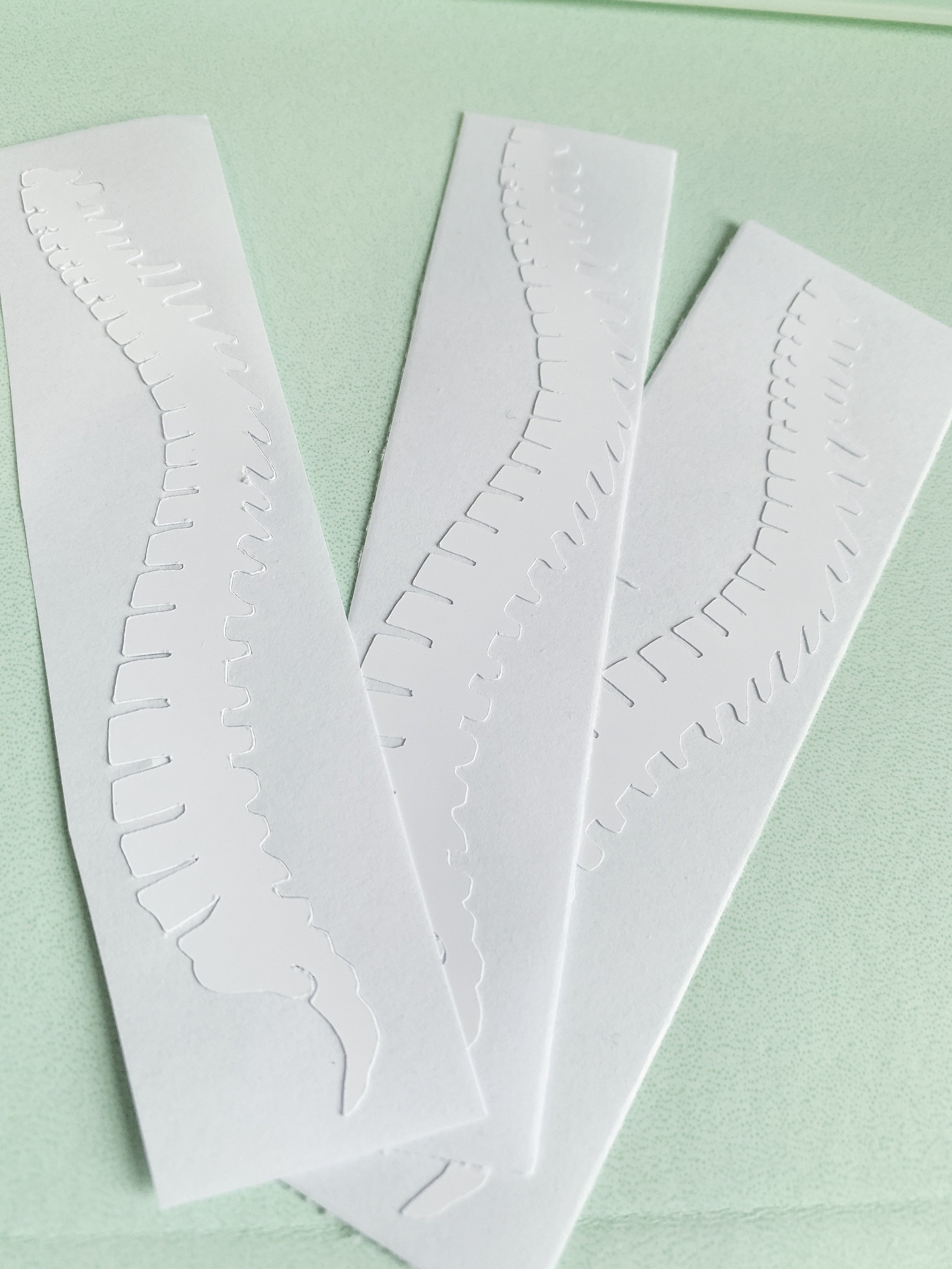 Spine Sticker Chiropractic Art Anatomy Art Medical Illustration ...