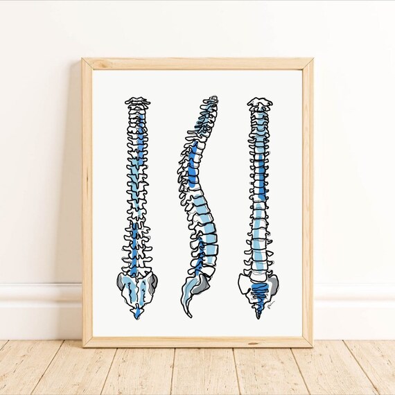 Line Drawing Spine Design Multiple Colours Customized | Etsy