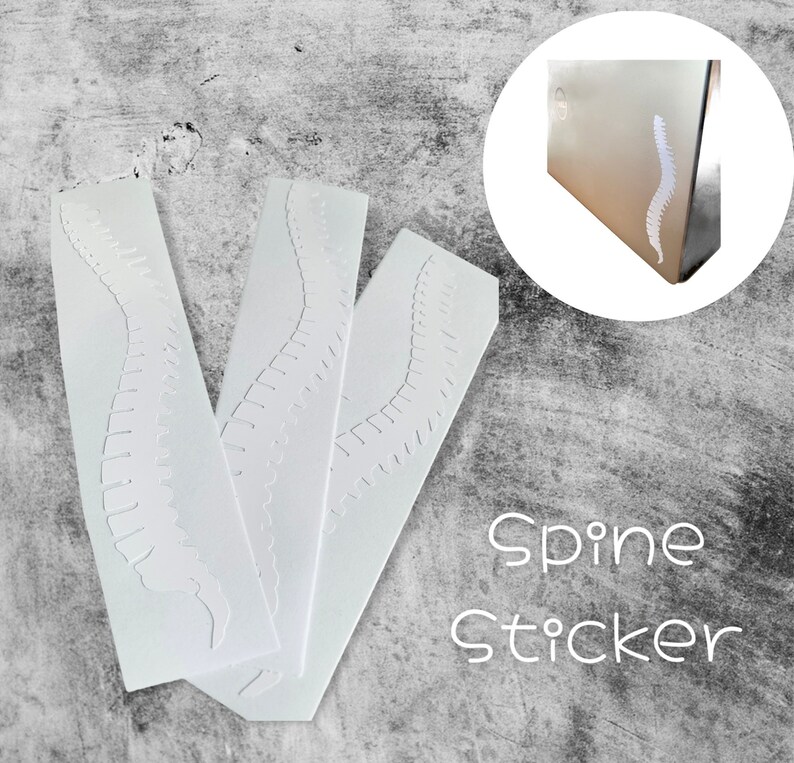 Spine Sticker Chiropractic Art Anatomy Art Medical - Etsy