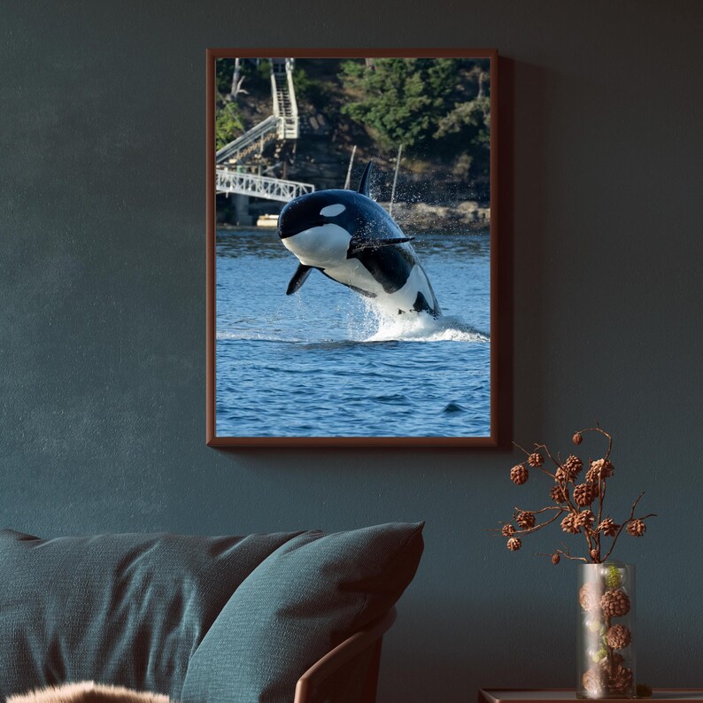 Killer Whale Breach Digital Download Wildlife Ocean Photography Orca ...