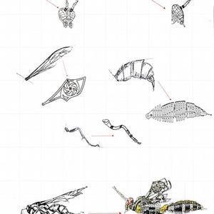 STEM 3D Metal Puzzles Giant Hornet Model Kits Mechanical Building ...