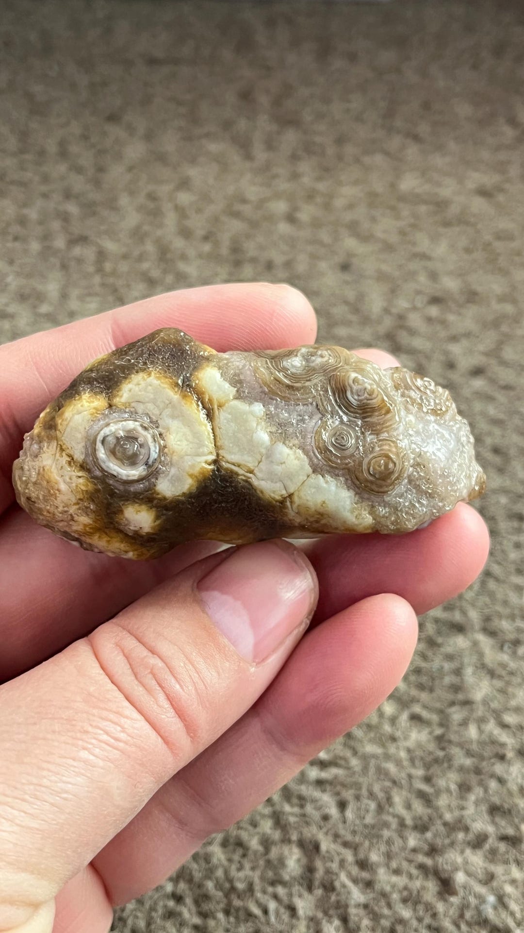 Size:6.0x2.5x2.2cm+ Natural Gobi Eyes Agate No Polished No Hole - Etsy