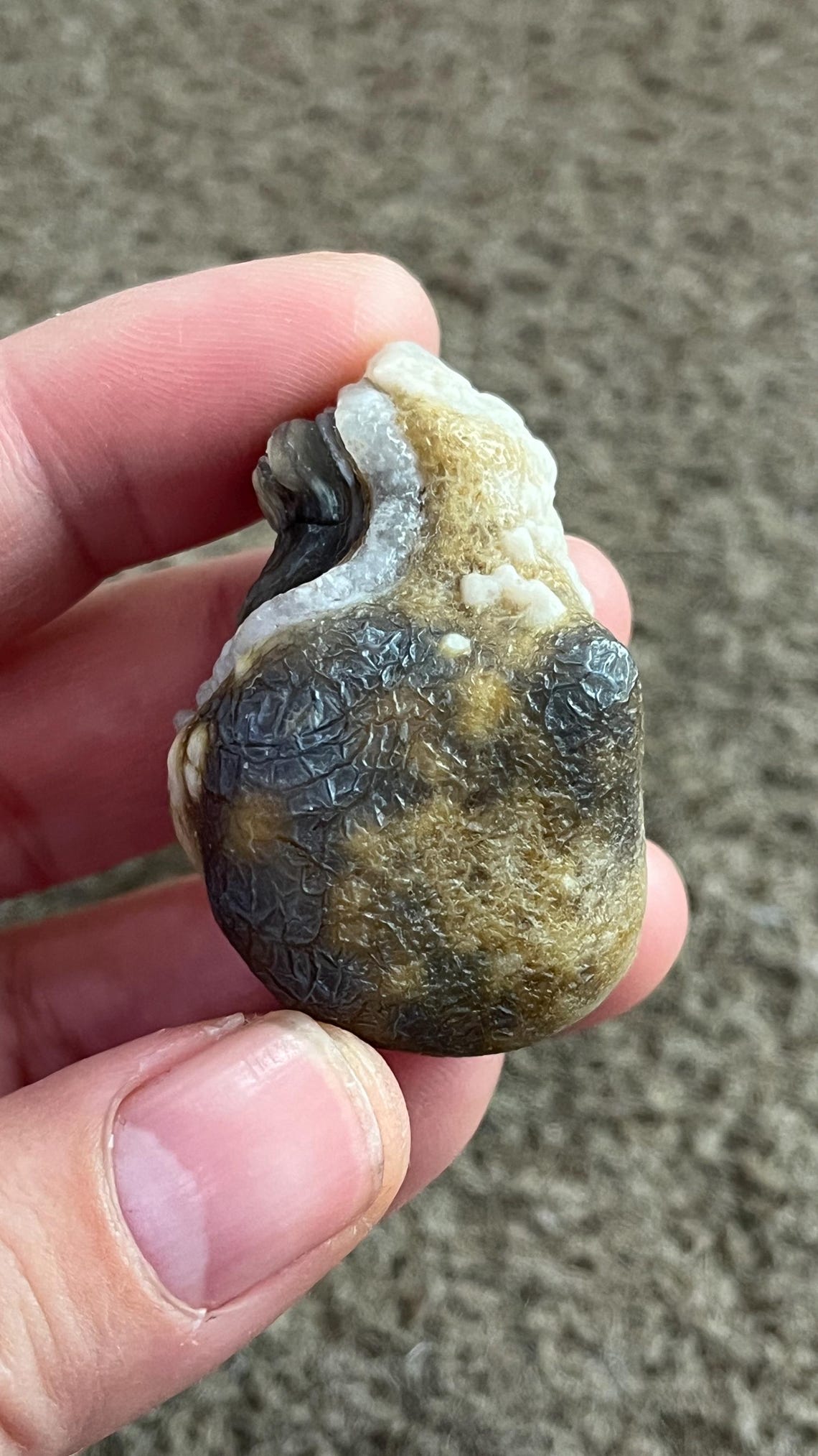 A Set Size:3.8-4.3cm+ Natural Gobi Eyes Agate No Polished No Hole - Etsy