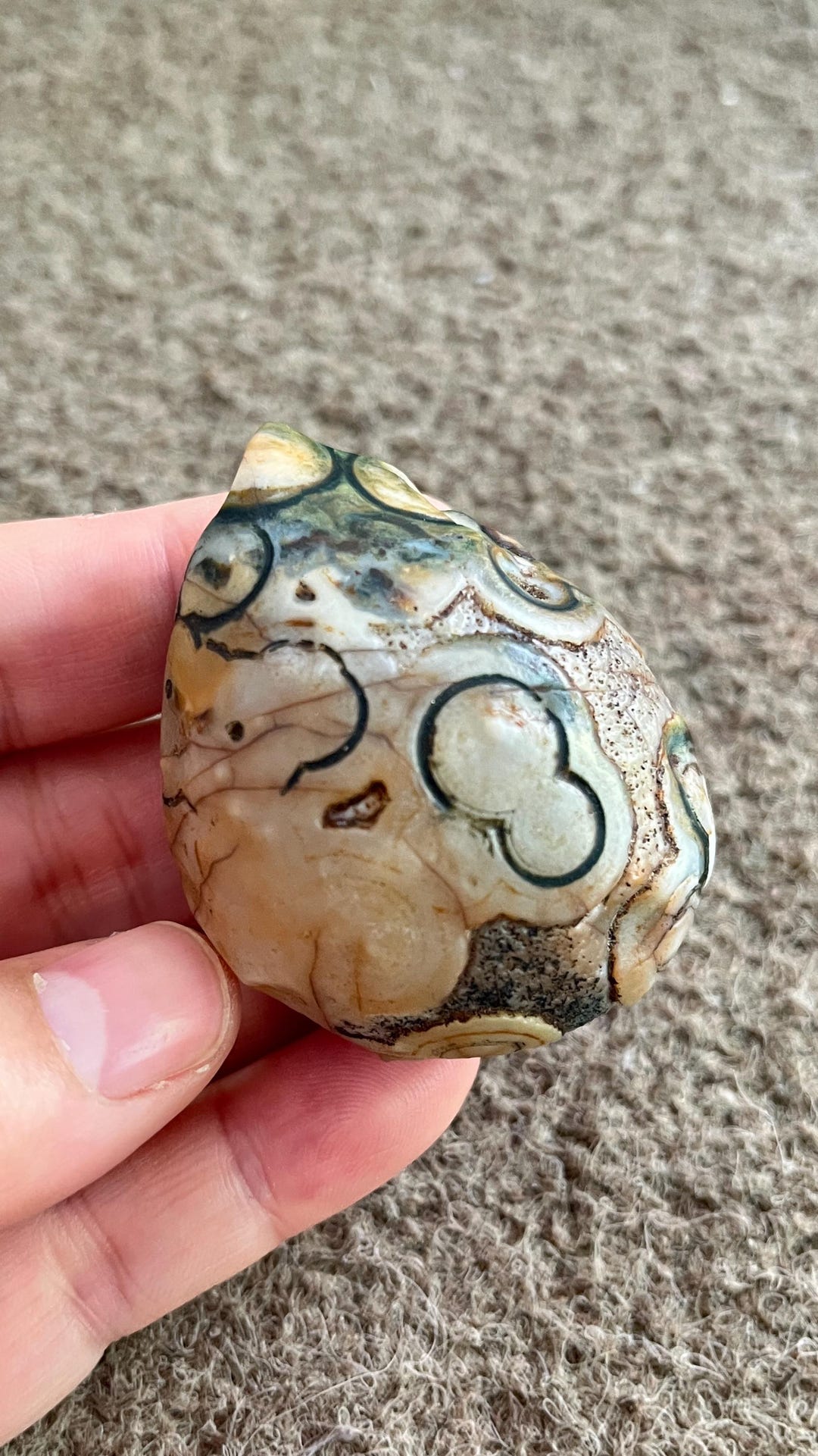 A Set Size:5.4x4.2x2.8cm+ Natural Gobi Eyes Agate No Polished No Holet ...