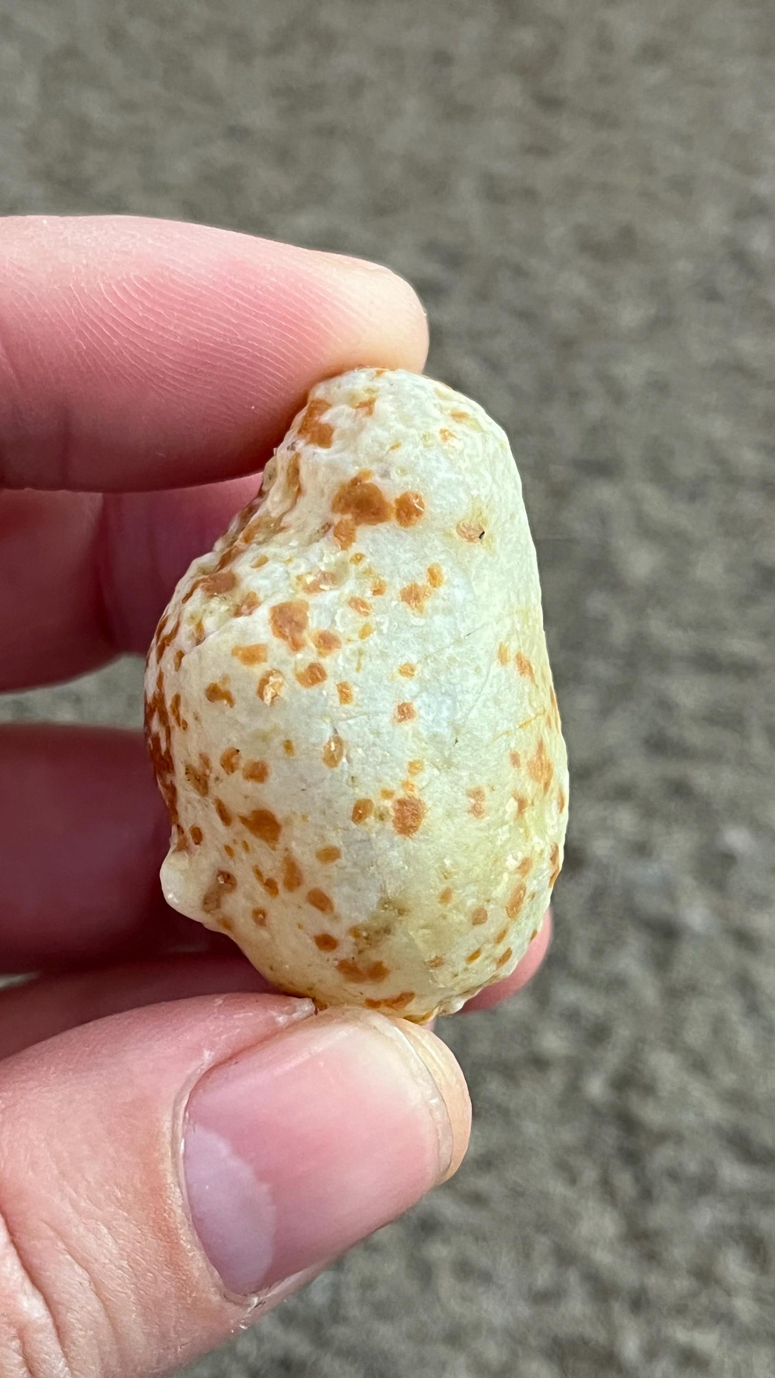 A Set Size:3.8-4.3cm+ Natural Gobi Eyes Agate No Polished No Hole - Etsy