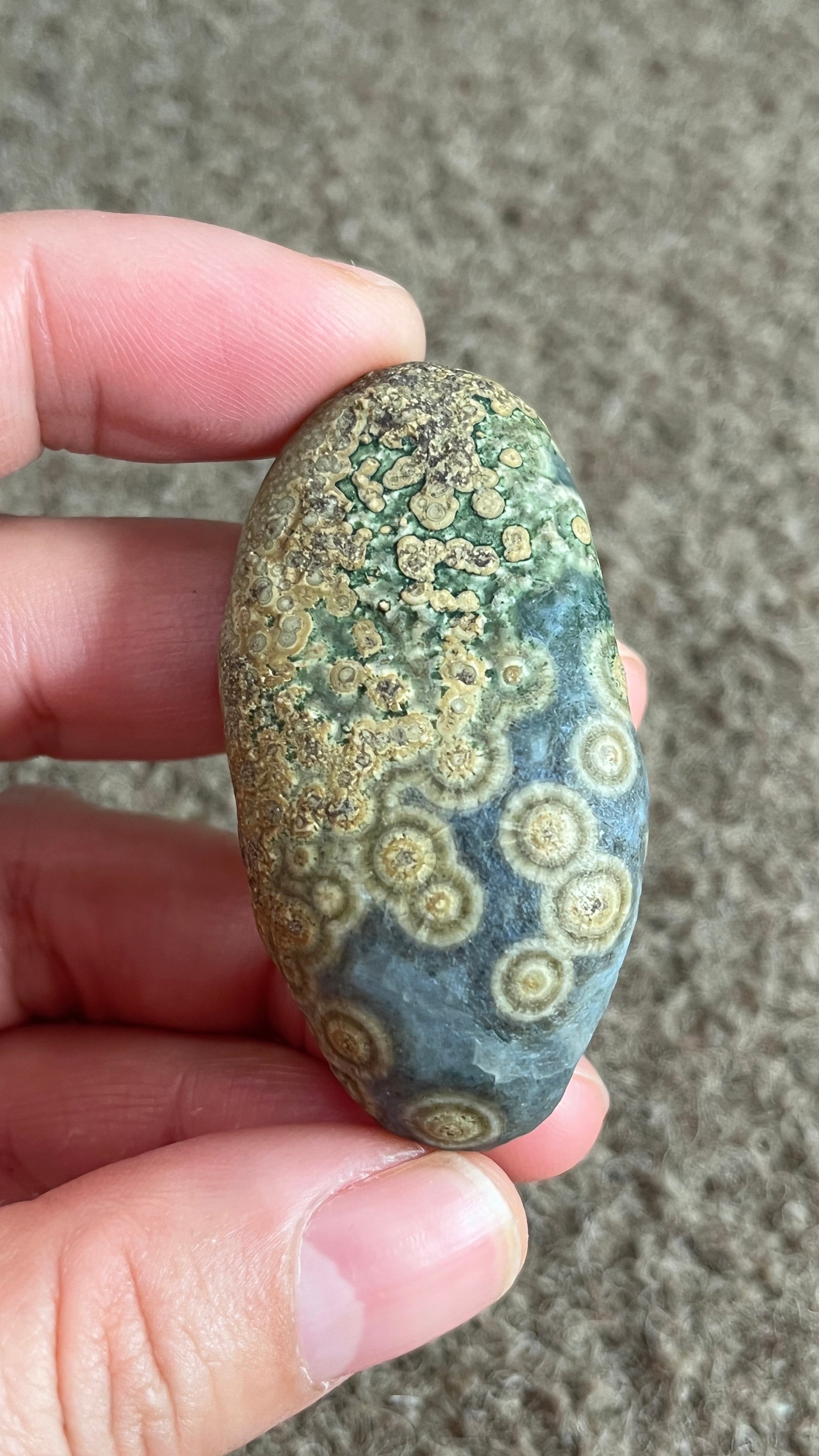 A Set Size:5.1x2.6x1.8cm+ Natural Gobi Eyes Agate No Polished No Hole ...