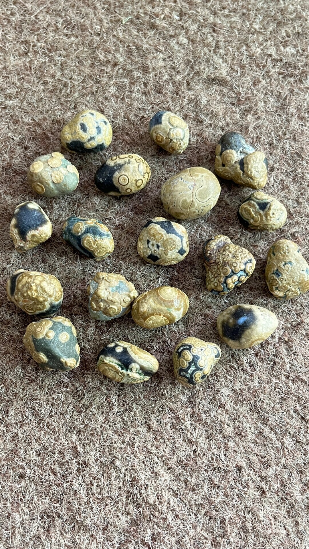 A Lot 1.9-2.3cm Natural Gobi Eyes Agate No Polished No Hole - Etsy