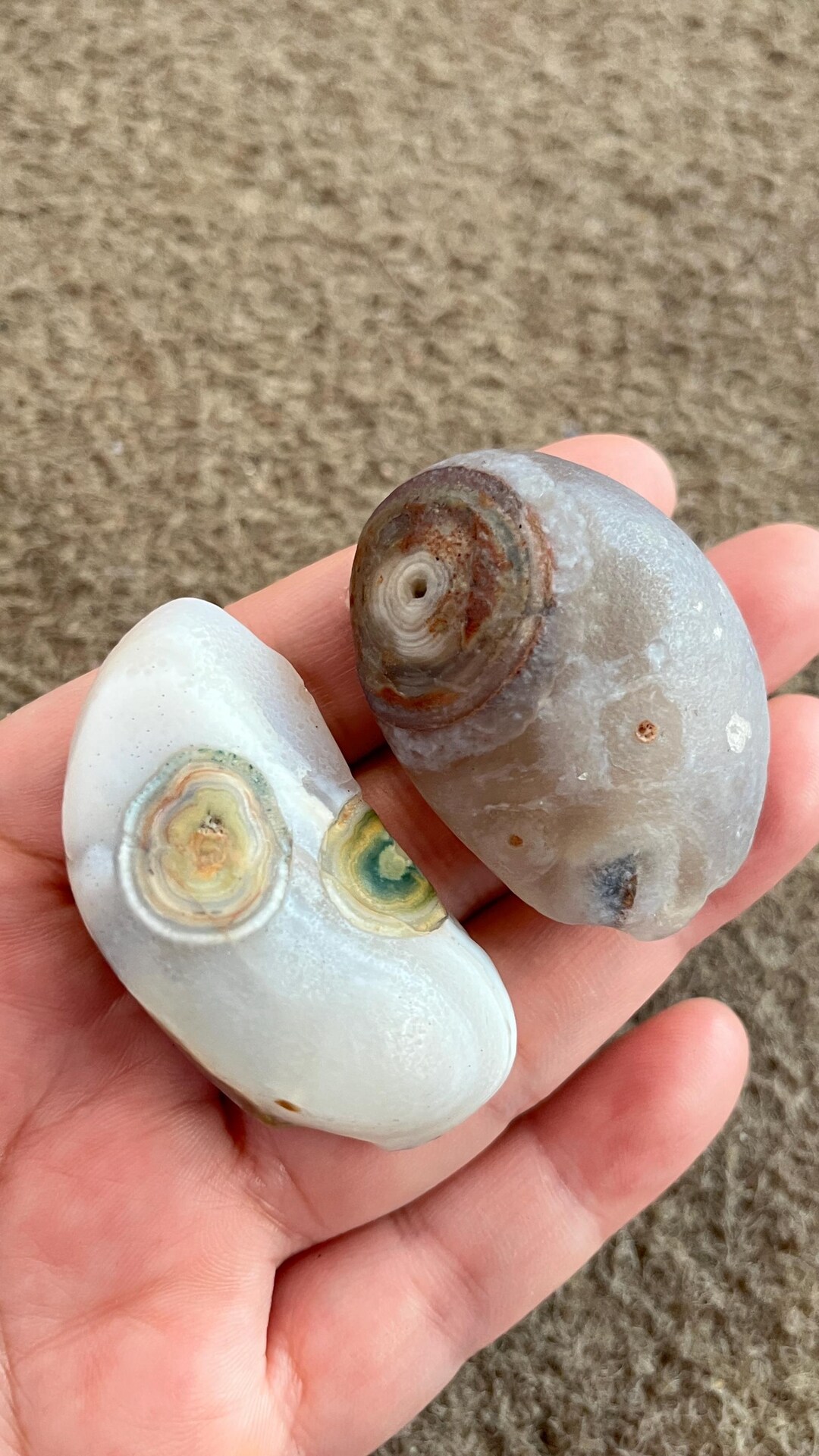 A Set Size:4.5-5.2cm+ Natural Gobi Eyes Agate No Polished No Hole - Etsy