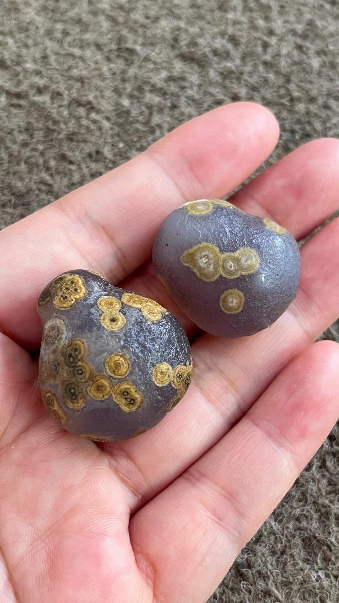 A Set Size:2.8-3.1cm+ Natural Gobi Eyes Agate No Polished No Holet - Etsy
