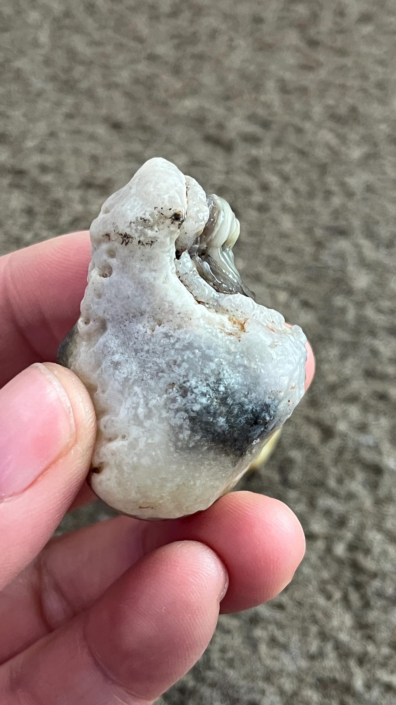 A Set Size:3.8-4.3cm+ Natural Gobi Eyes Agate No Polished No Hole - Etsy
