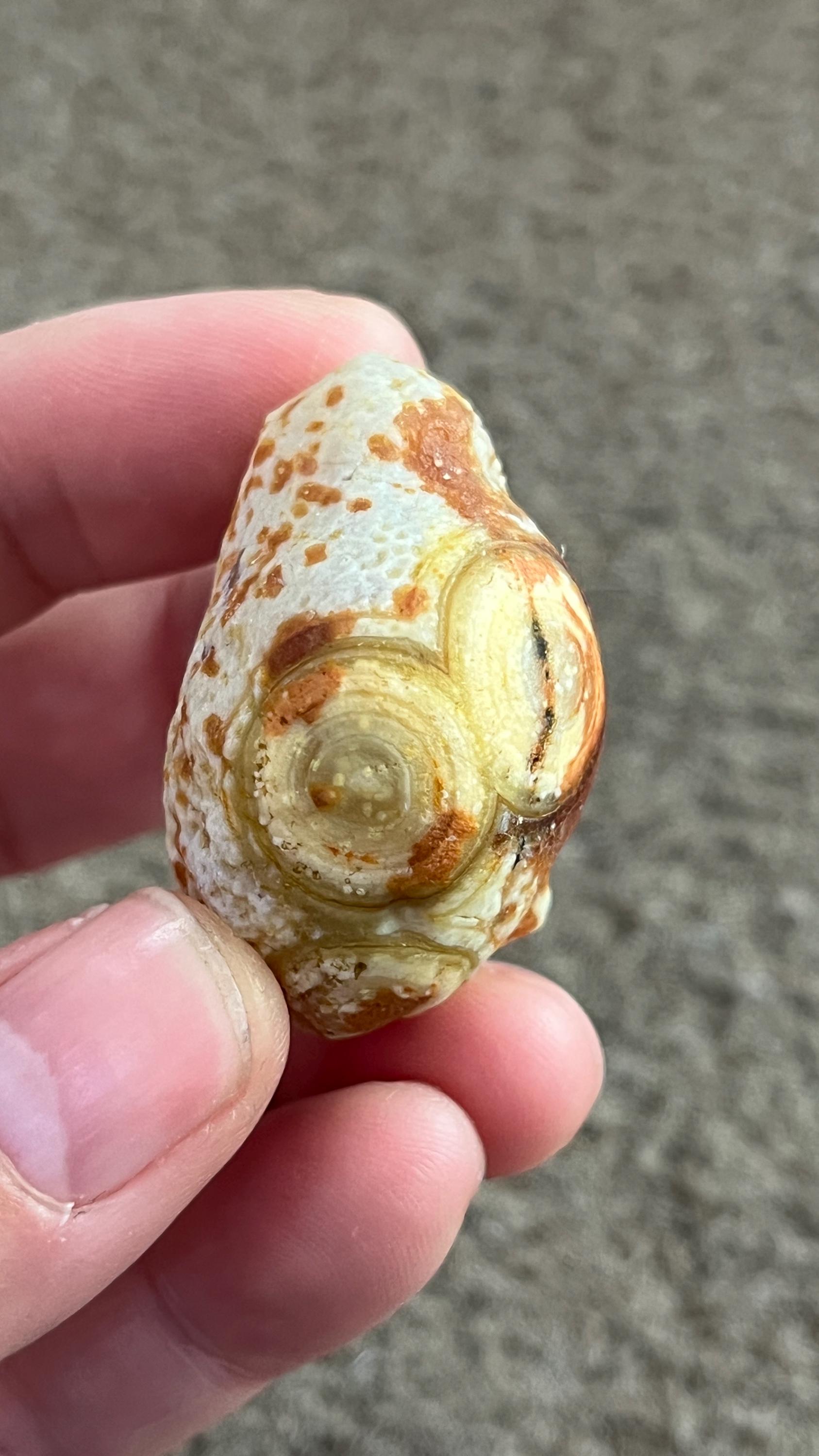 A Set Size:3.8-4.3cm+ Natural Gobi Eyes Agate No Polished No Hole - Etsy