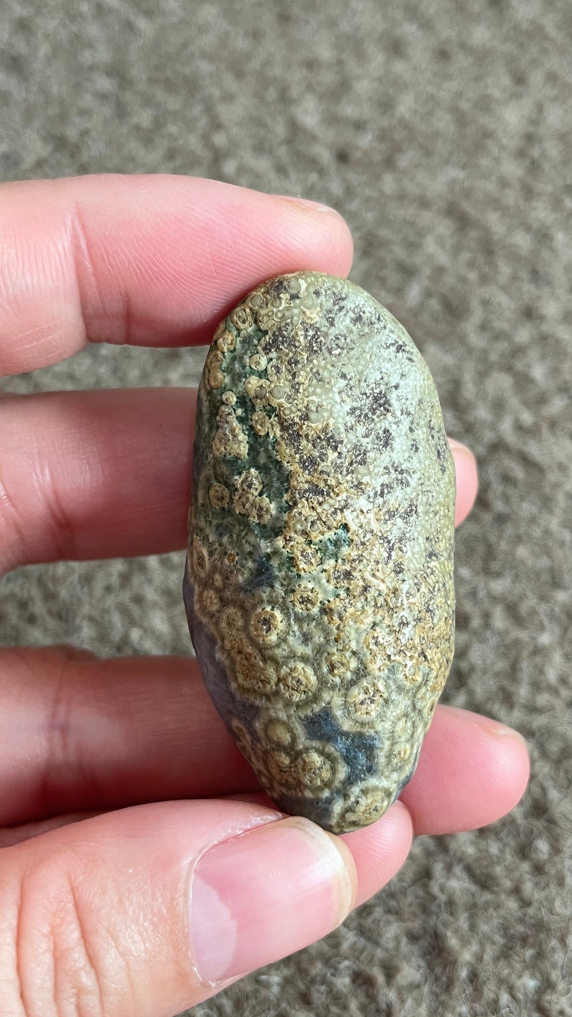 A Set Size:5.1x2.6x1.8cm+ Natural Gobi Eyes Agate No Polished No Hole ...