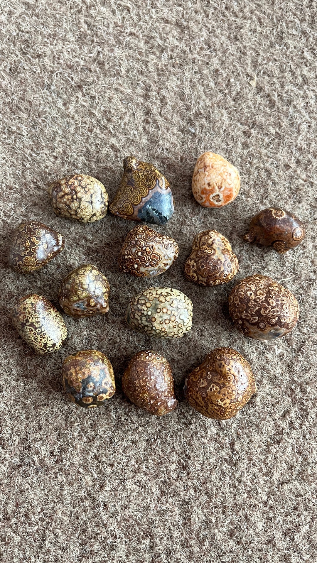 A Set Size:2.0-2.5cm Natural Gobi Eyes Agate No Polished No Hole - Etsy
