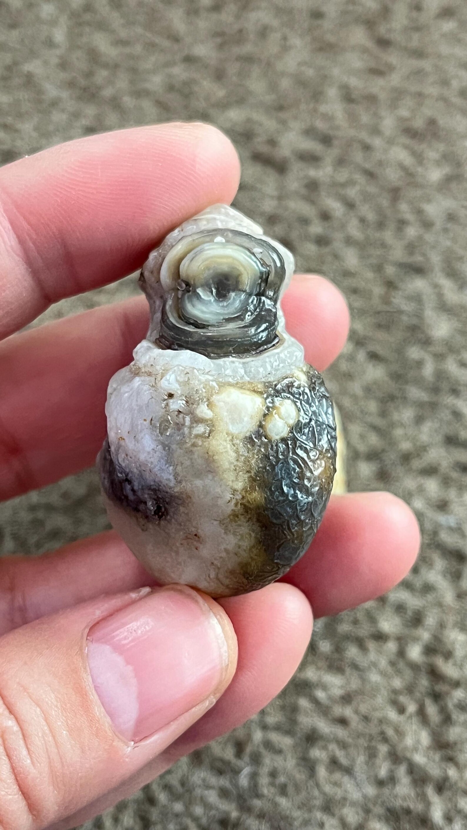 A Set Size:3.8-4.3cm+ Natural Gobi Eyes Agate No Polished No Hole - Etsy