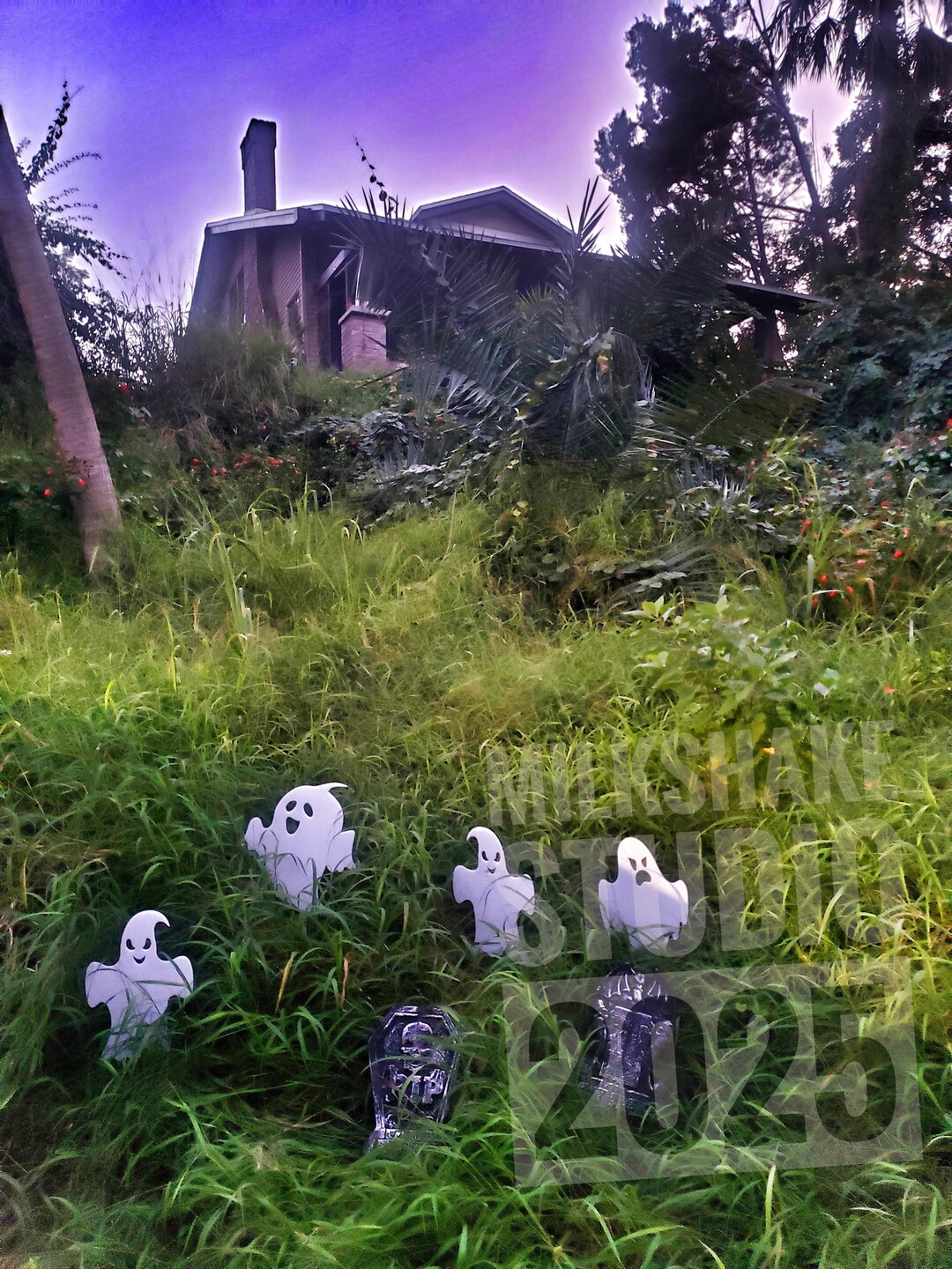 Ghosts in the Neighborhood, 8x10" Color Photo, Original Print, Ghosts ...