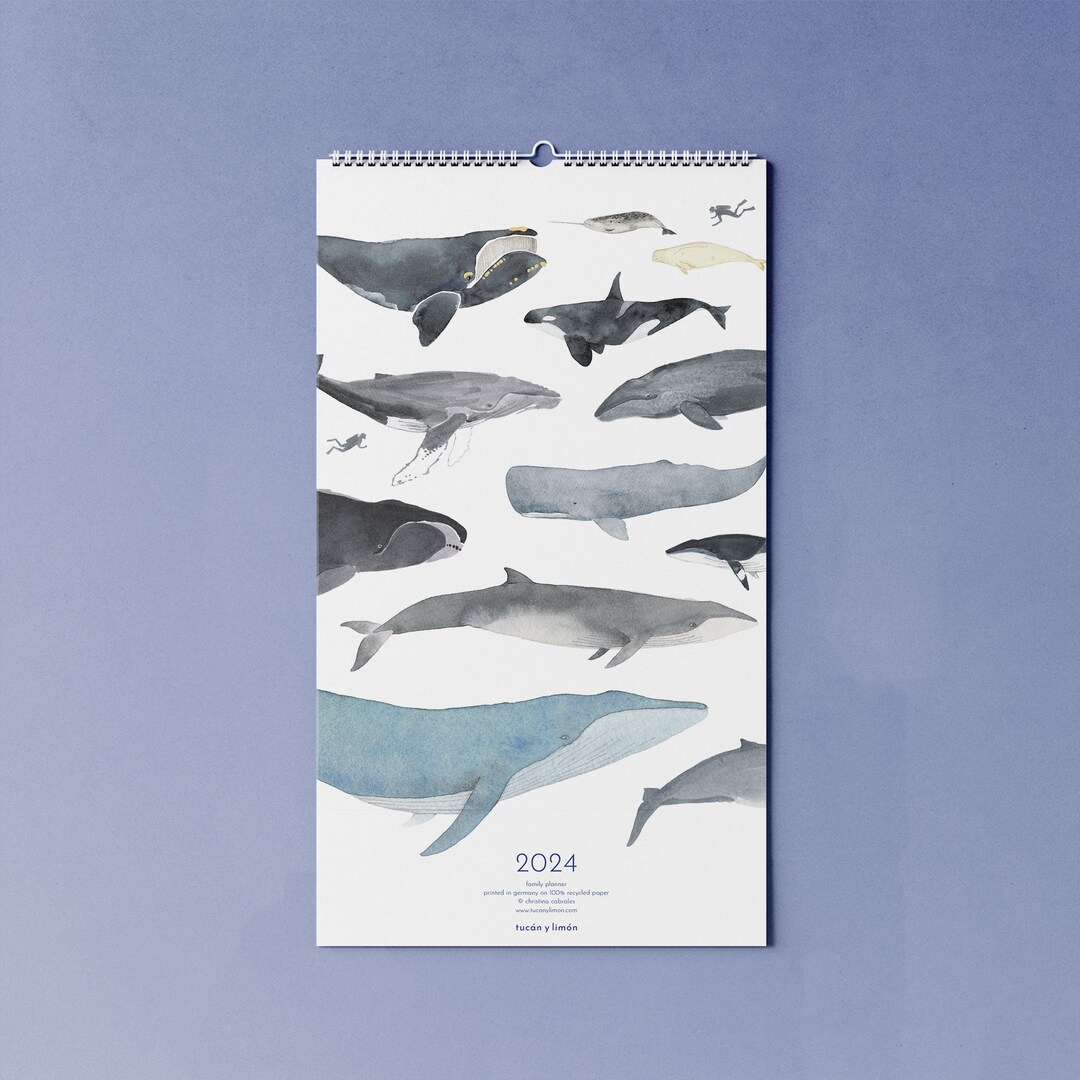 2024 Calendar With Whales B-WARE A3 Narrow for Families or Shared ...