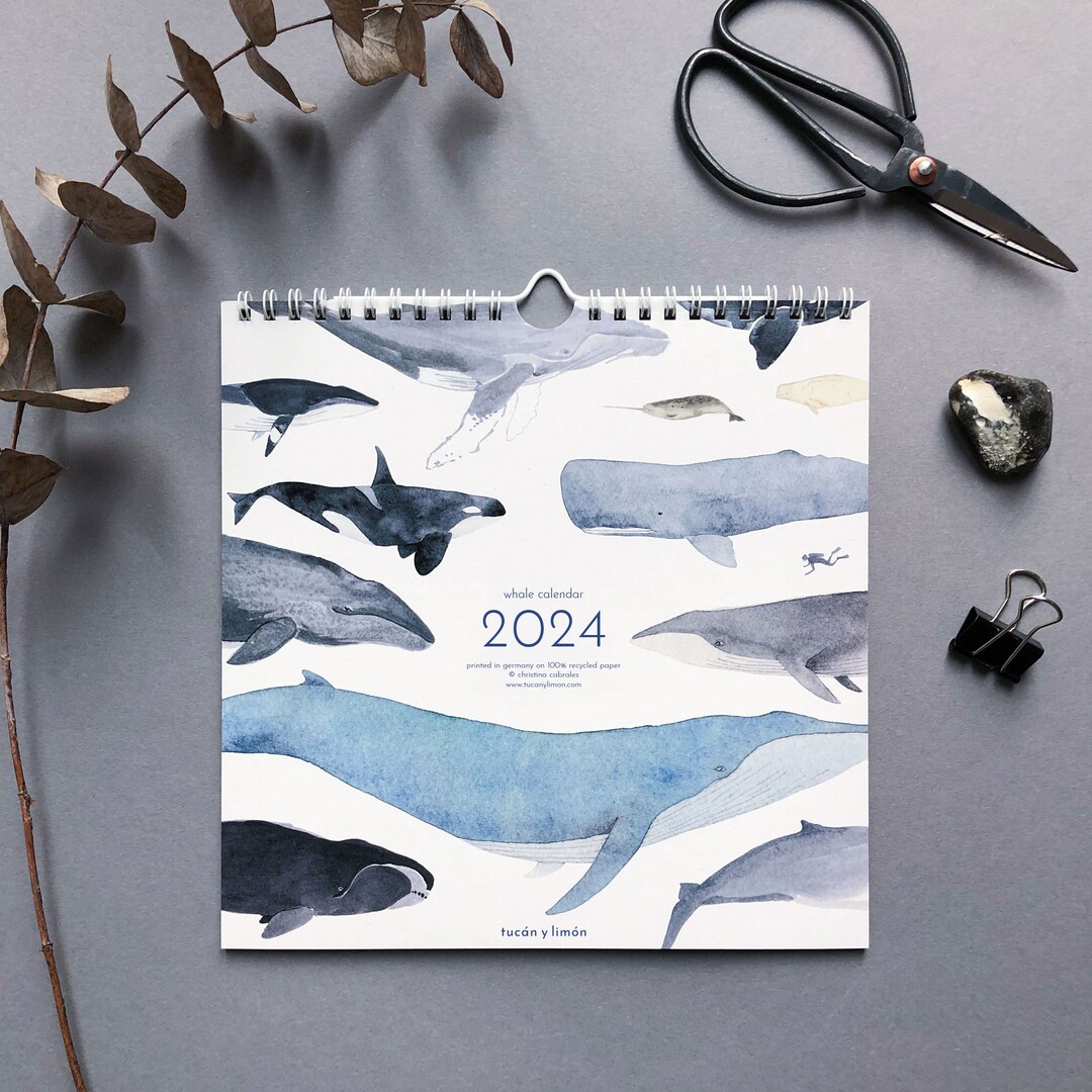 2024 Whale Calendar With Watercolor Illustrations Printed on 100% ...