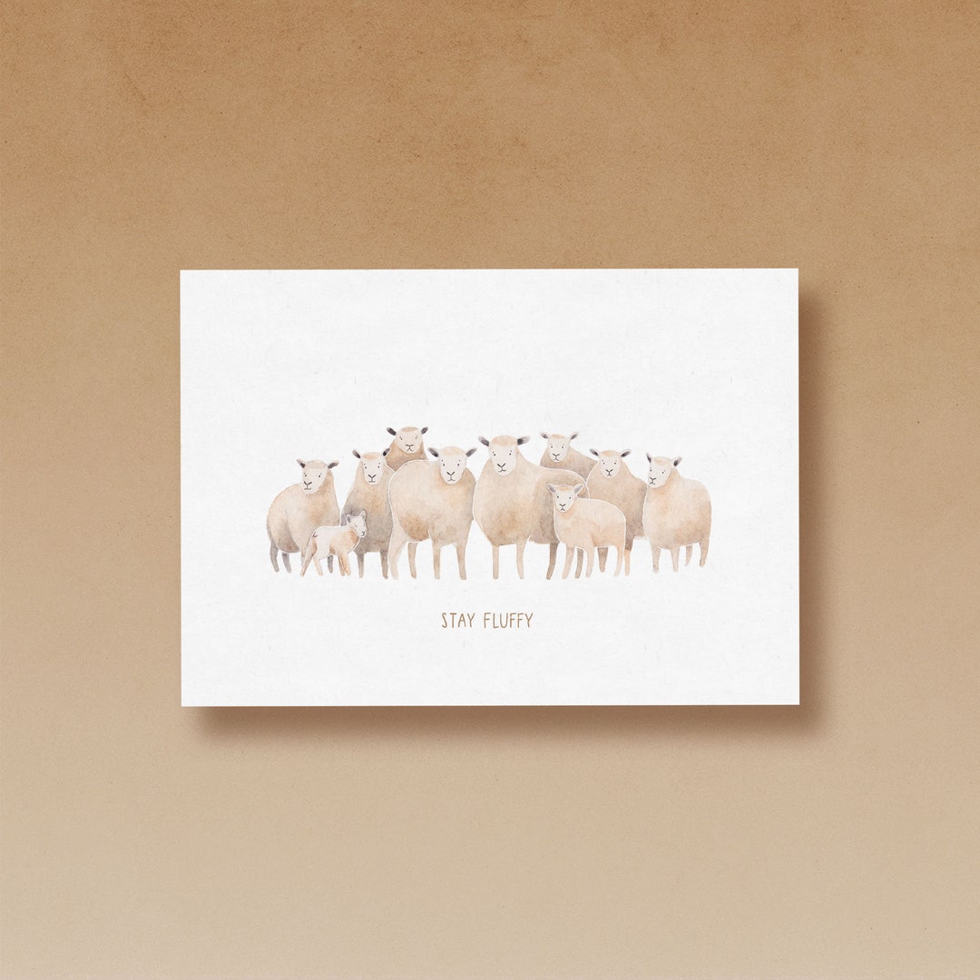 Schafe "stay fluffy" Postkarte gedruckt auf hochwertigem ...