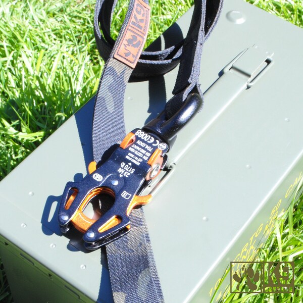 Biothane Leash Kong Frog - Etsy