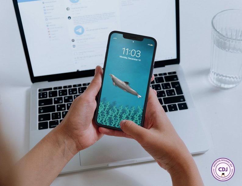 Dolphin Phone Wallpaper for Your Phone Background Dolphin - Etsy