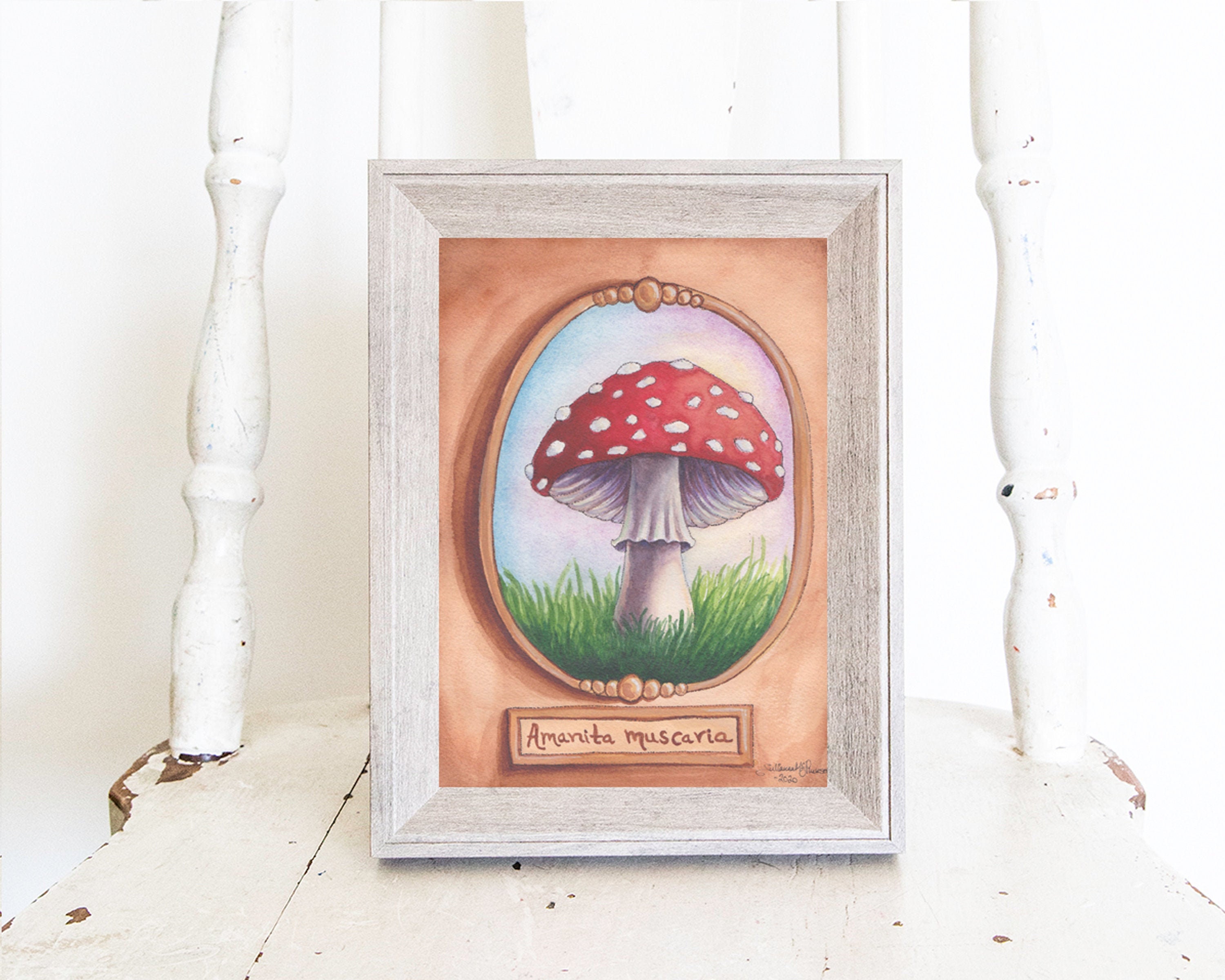 Mushroom Wall Art Print Amanita Muscaira Red Mushroom Mushroom Art