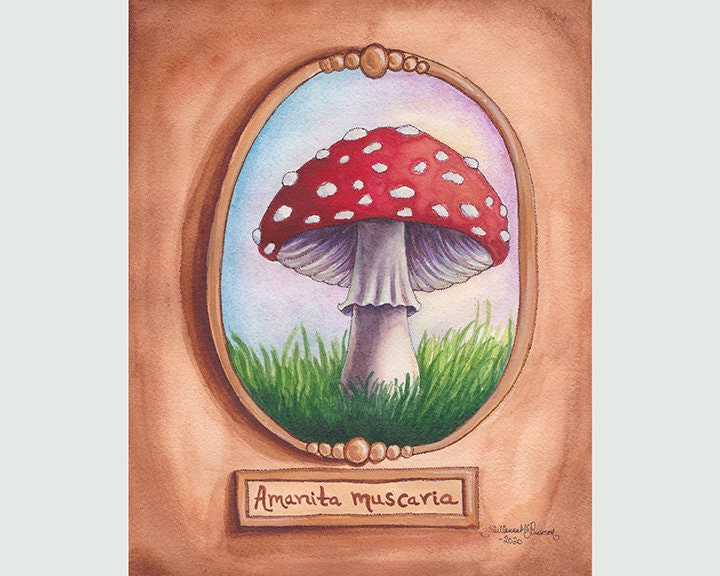 Mushroom Wall Art Print Amanita Muscaira Red Mushroom Mushroom Art