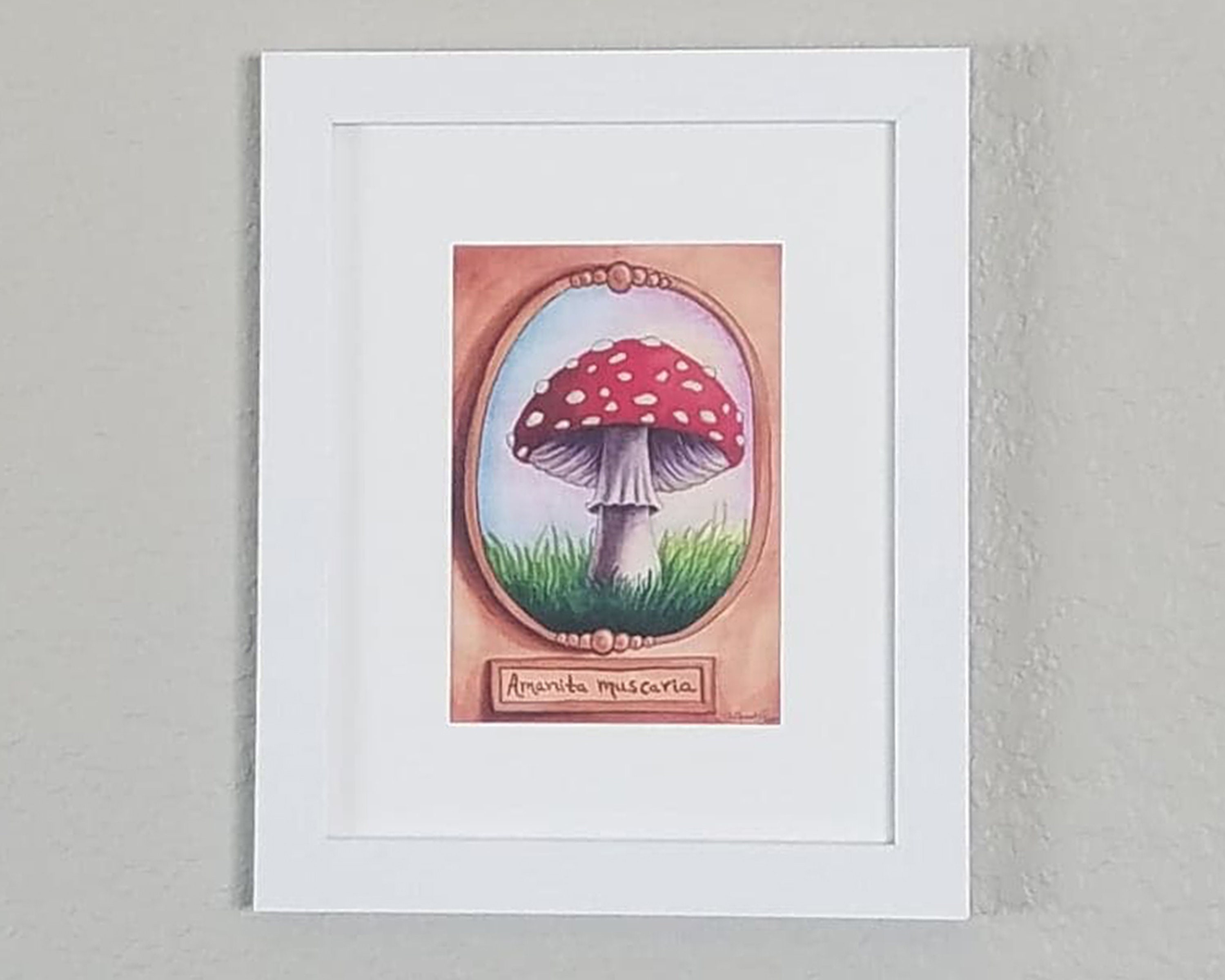 Mushroom Wall Art Print Amanita Muscaira Red Mushroom Mushroom Art