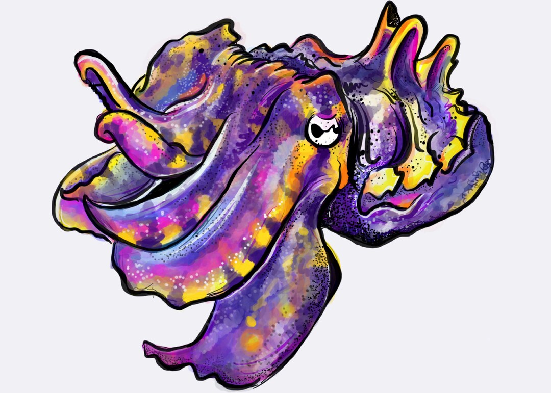 It's Cuttle Time Cuttlefish Print - Etsy