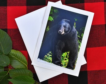 Black Bear Note Cards - Etsy