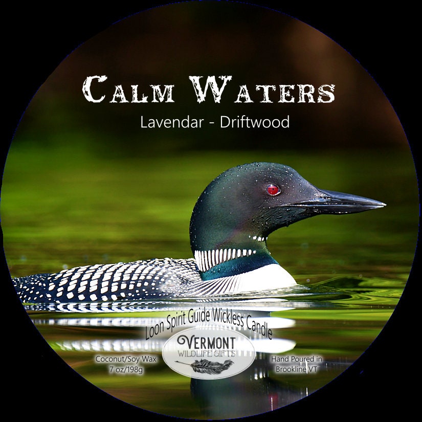 Loon Spirit Guide Wickless Candle With Muslin Gift Bag, Totem Card, and ...