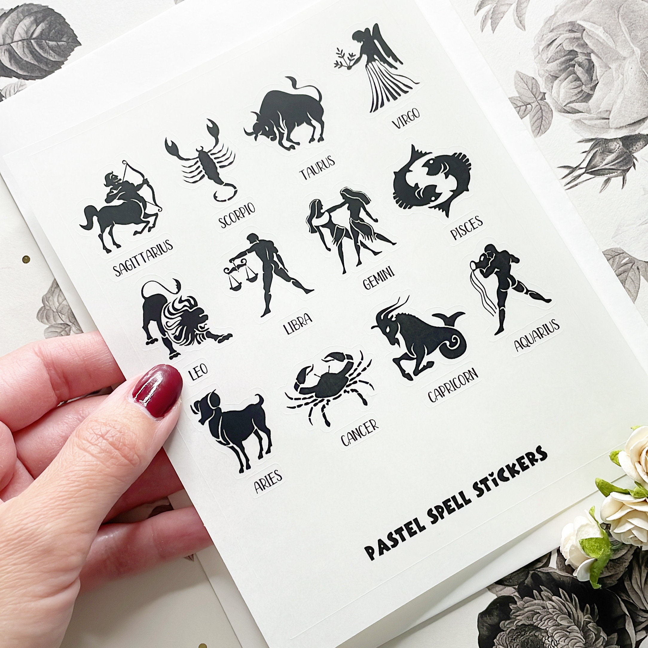 CLEAR Zodiac Stickers Set 3 Sheets Zodiac Signs - Etsy