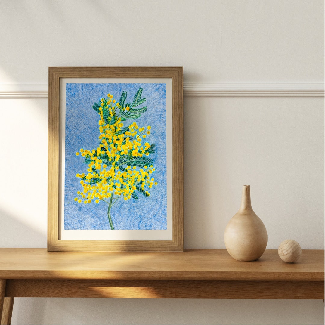Mimosa Drawing Color Pencil Drawing A4, A3 Flower Yellow Blue Floral ...