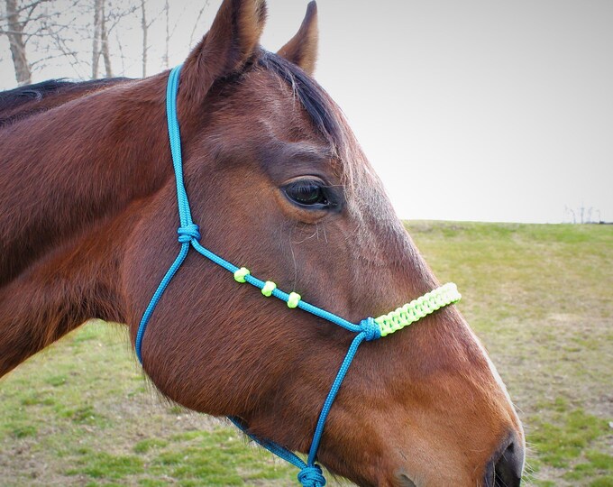Custom Rope Halter You Pick the Colors Average Size - Etsy