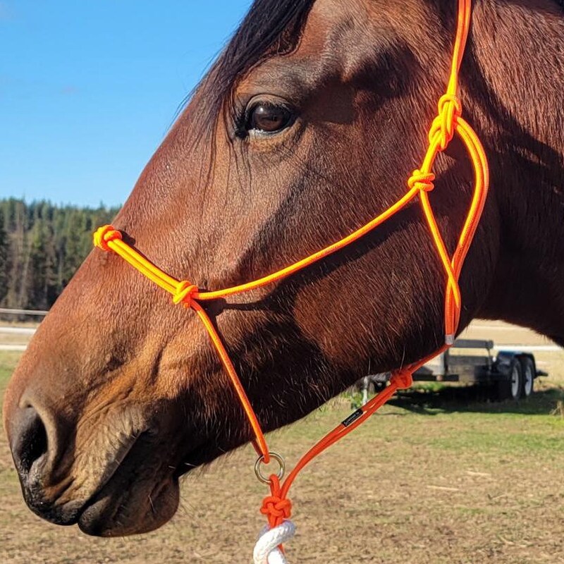 CalliesCustomHalters - Etsy