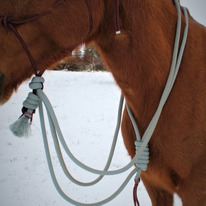 Rope Halter & Mecates Natural Horsemanship Hackamore 19 | Etsy