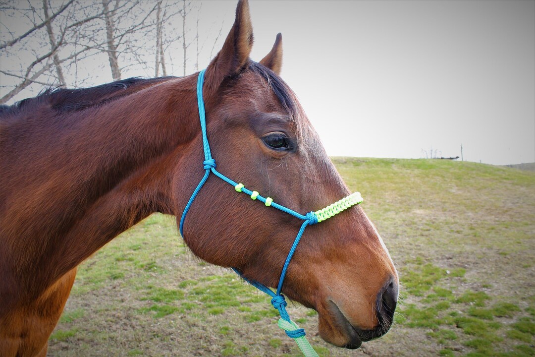 Custom Rope Halter - You Pick the Colors! - Average Size - Yacht Rope W ...