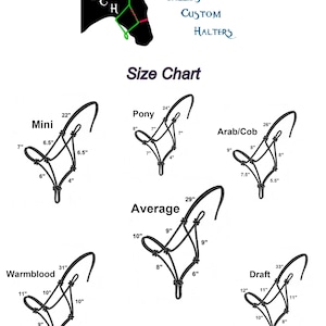Rope Halter & Mecates - Natural Horsemanship Hackamore - 21 Colors - 2 ...
