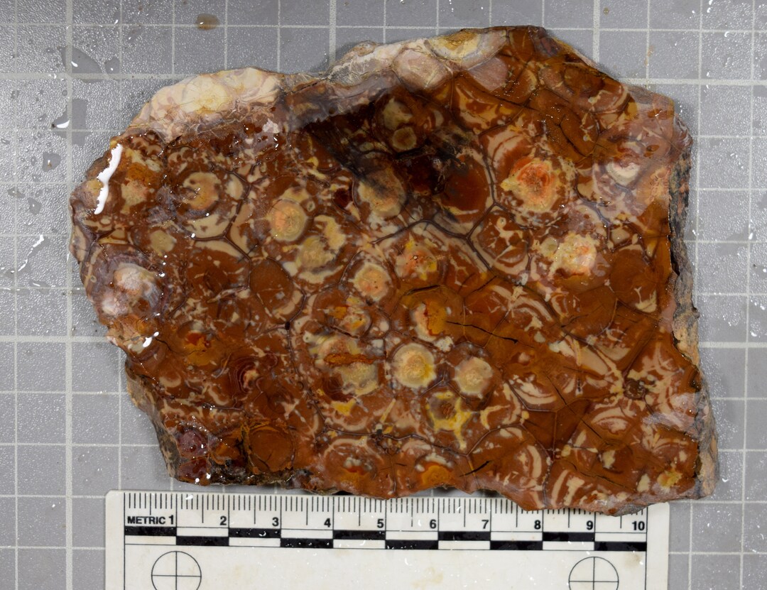 Birds Eye Rhyolite Slab for Cabochon Making, 139g, 110x84mm - Etsy