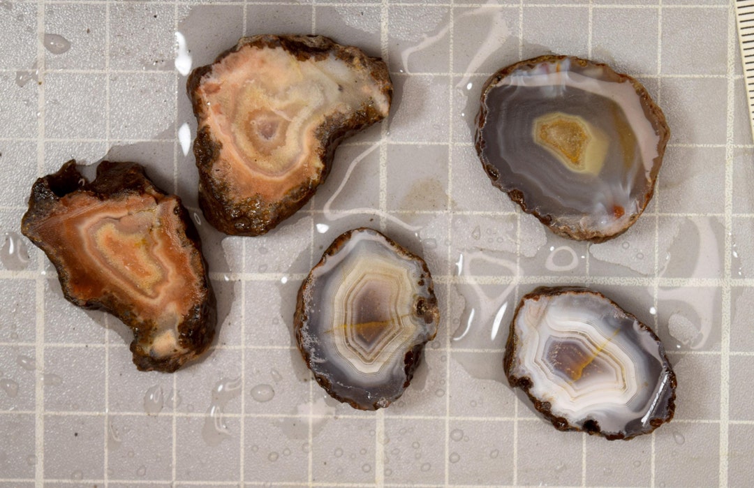 Gambiri Agate Malawi 48g Natural Rough Stone for Lapidary and Crafting ...