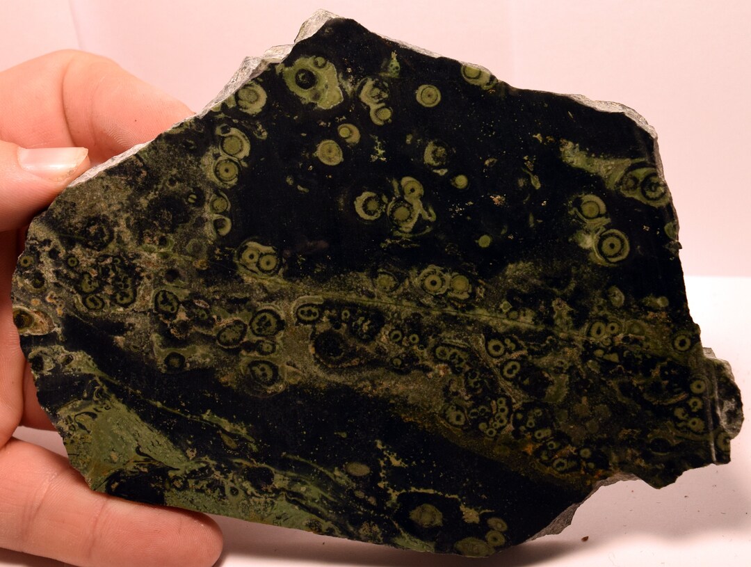 Rough Slab Kabamba Crocodile Stone 308 Grams 145 Mm X 97 Mm - Etsy