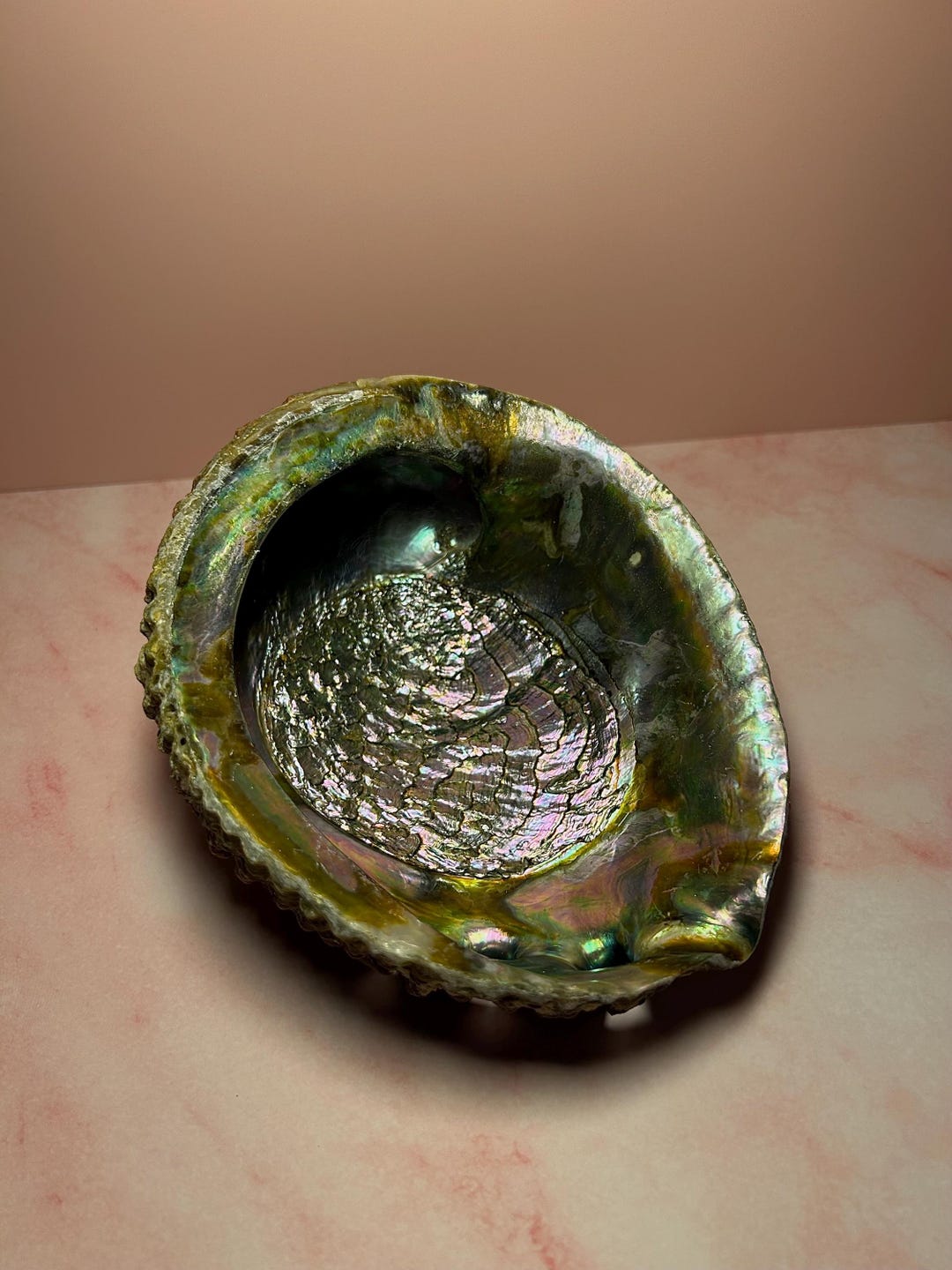 Green Abalone Shell for Smudging & Decor, Iridescent Shell for ...