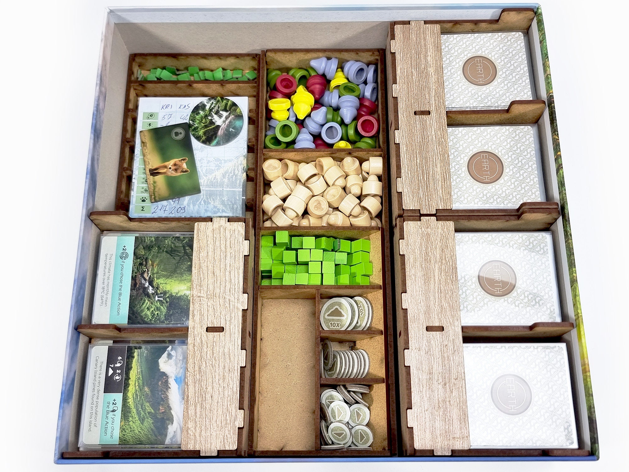 Earth Organizer Insert - Etsy